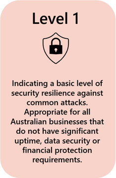 Essential 8 Audit as a Service | ACSC Cyber Security Framework